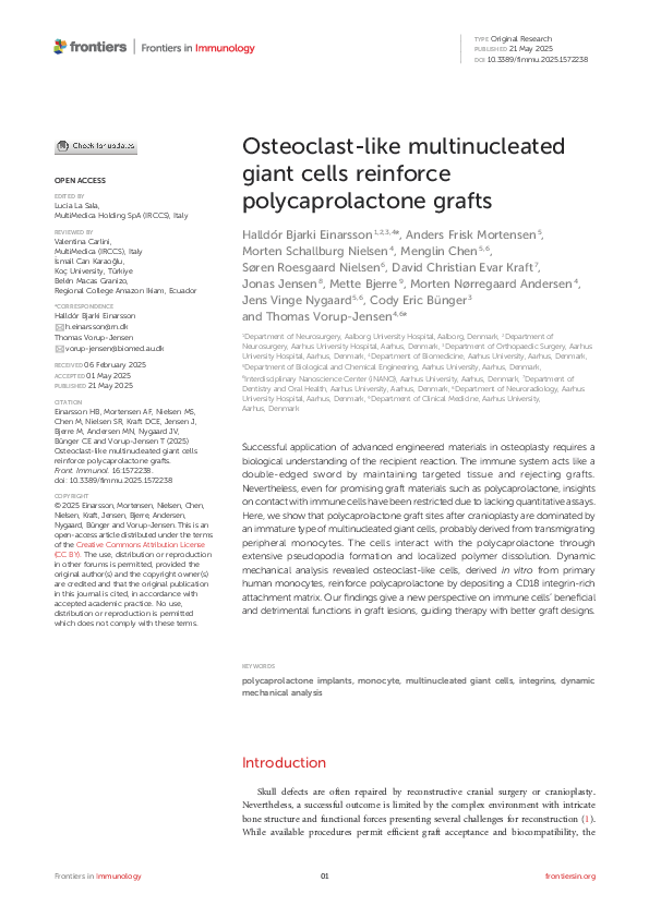 (PDF) Osteoclast-like multinucleated giant cells reinforce ...