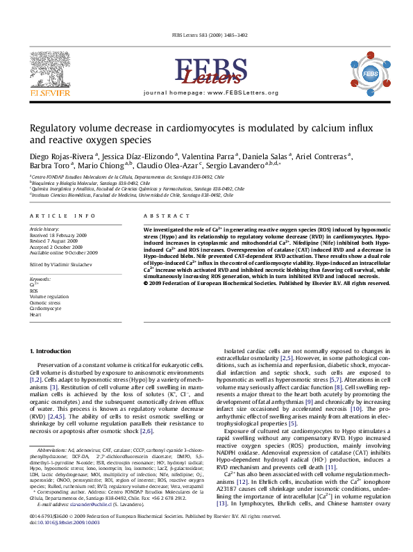 (PDF) Regulatory volume decrease in cardiomyocytes is modulated by ...