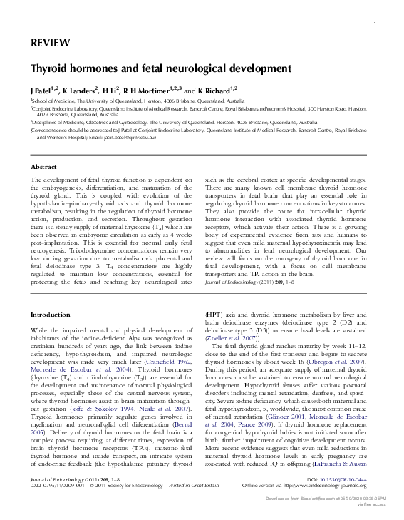 (PDF) Thyroid hormones and fetal neurological development