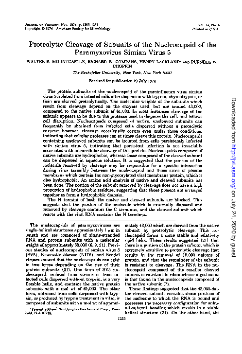 (PDF) Proteolytic Cleavage of Subunits of the Nucleocapsid of the ...