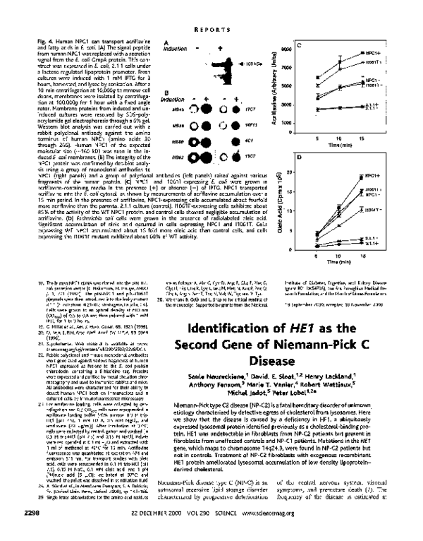 (PDF) Identification of HE1 as the Second Gene of Niemann-Pick C Disease