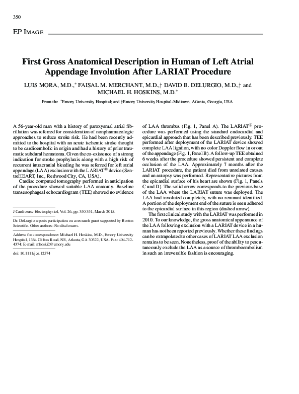 (PDF) First Gross Anatomical Description in Human of Left Atrial ...