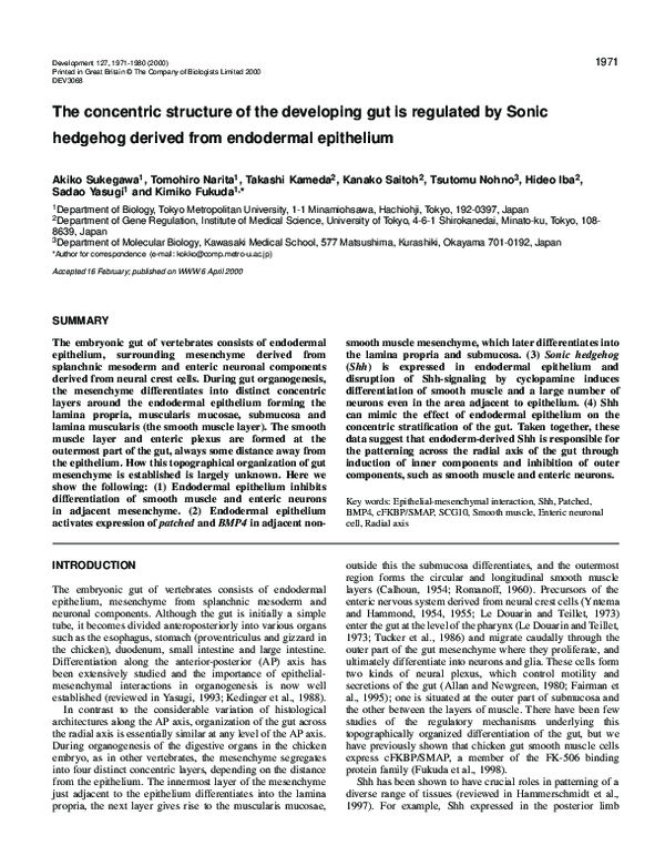 (PDF) The concentric structure of the developing gut is regulated by ...