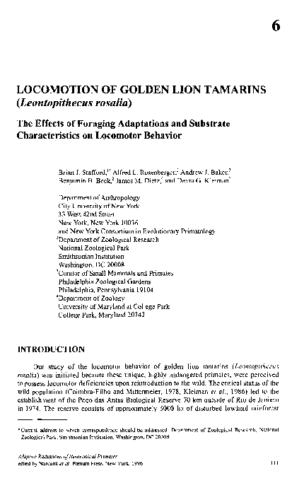 (PDF) Locomotion of Golden Lion Tamarins (Leontopithecus rosalia)