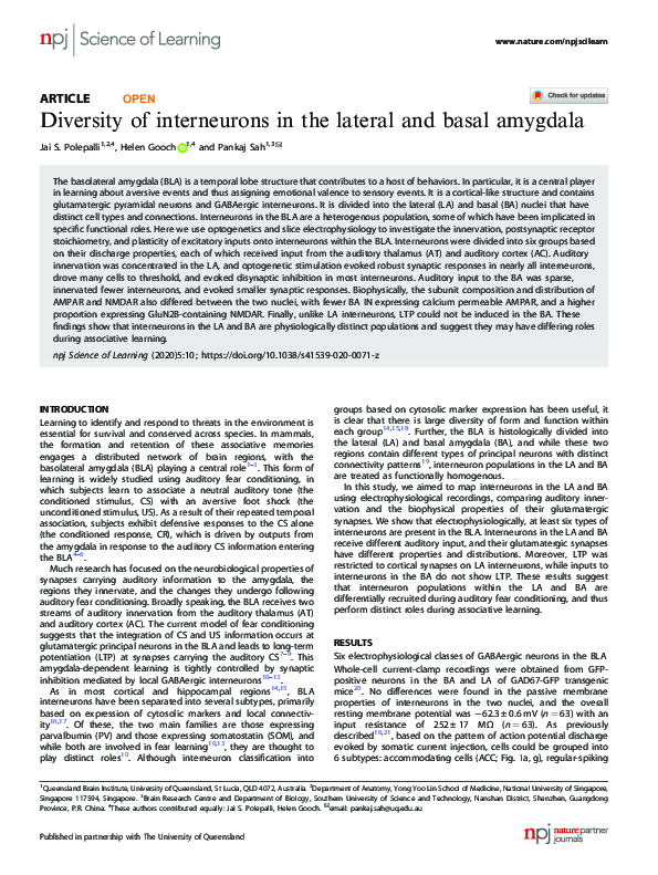 (PDF) Diversity of interneurons in the lateral and basal amygdala