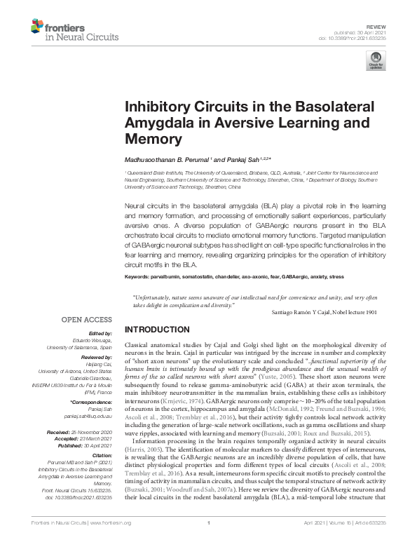 (PDF) Inhibitory Circuits in the Basolateral Amygdala in Aversive ...
