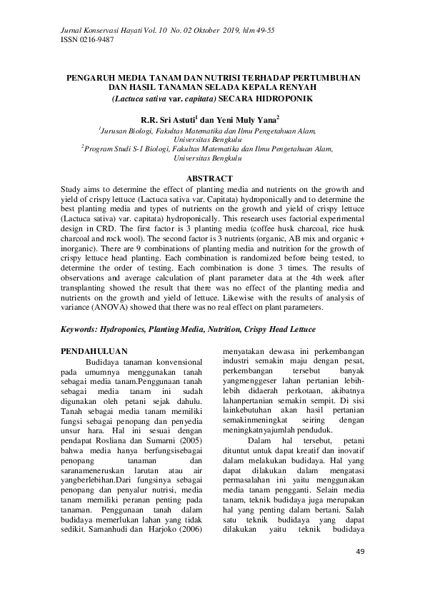 (PDF) PENGARUH MEDIA TANAM DAN NUTRISI TERHADAP PERTUMBUHAN DAN HASIL TANAMAN SELADA KEPALA ...