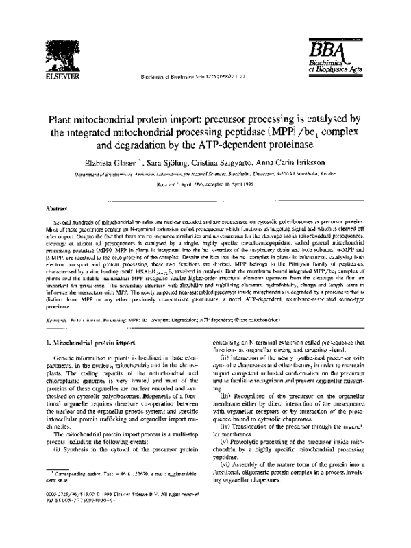 (PDF) Plant mitochondrial protein import: precursor processing is ...
