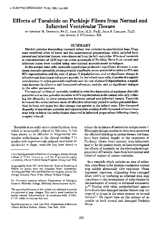 (PDF) Effects of tocainide on Purkinje fibers from normal and infarcted ...