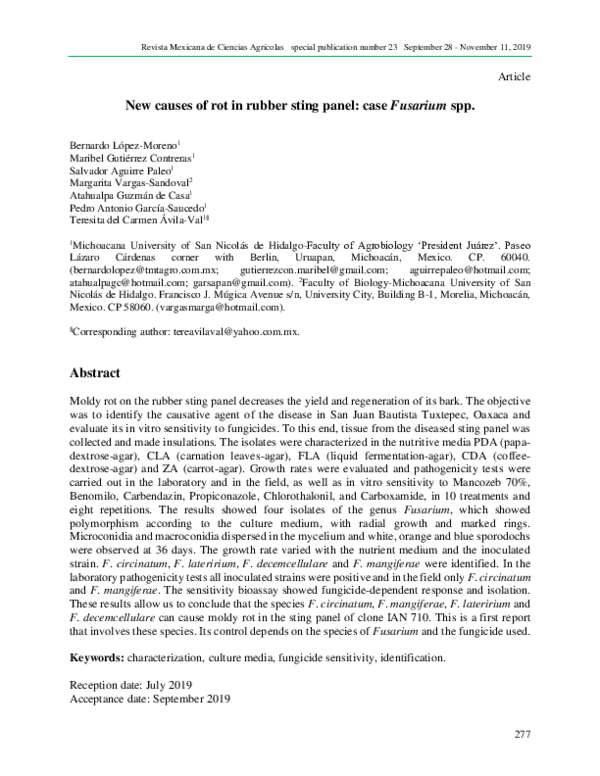 (PDF) New causes of rot in rubber sting panel: case Fusarium spp