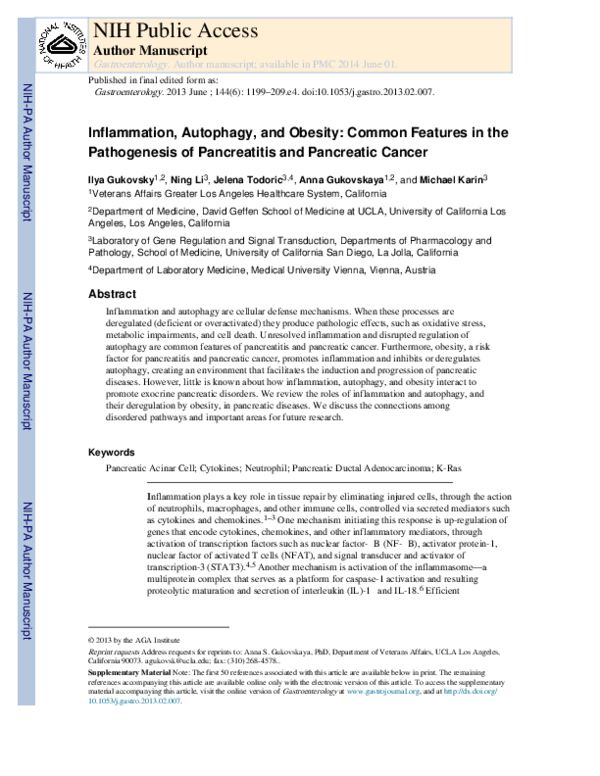 (PDF) Inflammation, Autophagy, and Obesity: Common Features in the ...