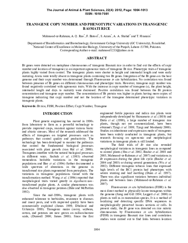 (PDF) Transgene copy number and phenotypic variations in transgenic ...