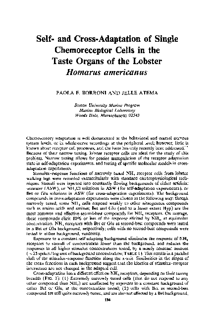 (PDF) Self-and Cross-Adaptation of Single Chemoreceptor Cells in the ...