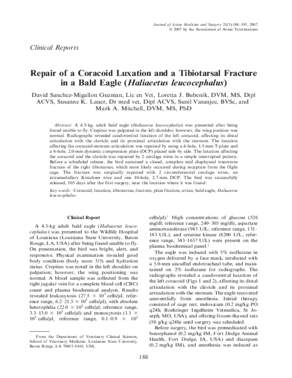 (PDF) Repair of a Coracoid Luxation and a Tibiotarsal Fracture in a ...