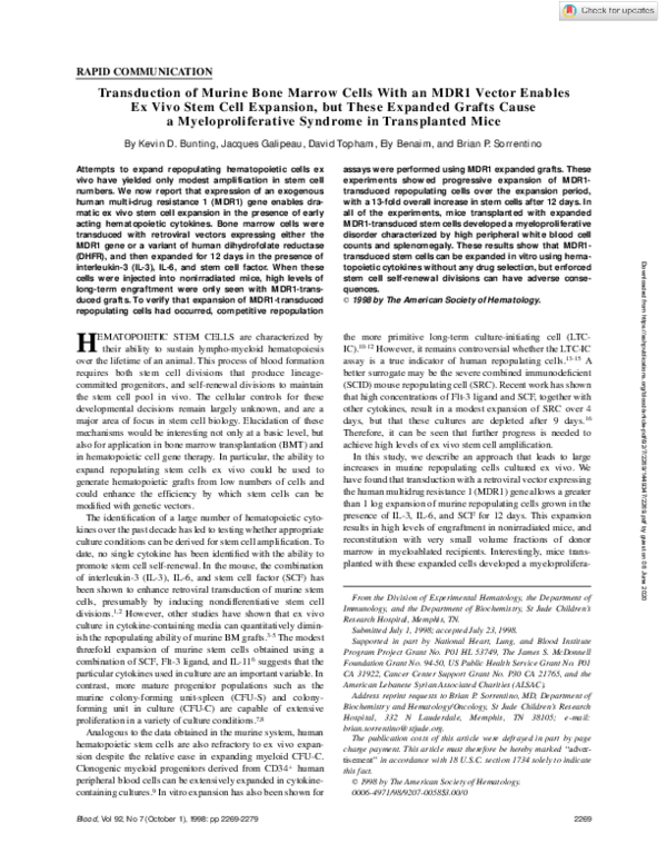 (PDF) Transduction of Murine Bone Marrow Cells With an MDR1 Vector ...