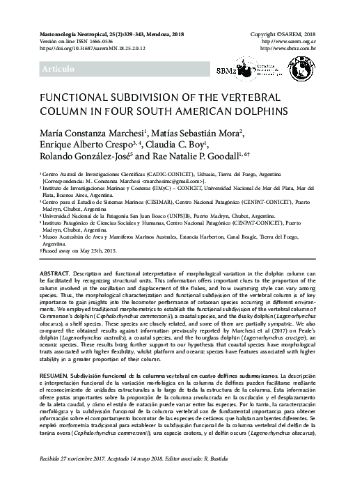 (PDF) Functional Subdivision of the Vertebral Column in Four South ...