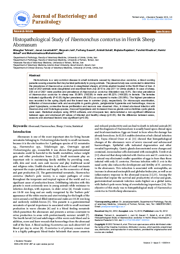 (PDF) Histopathological Study of Haemonchus contortus in Herrik Sheep ...