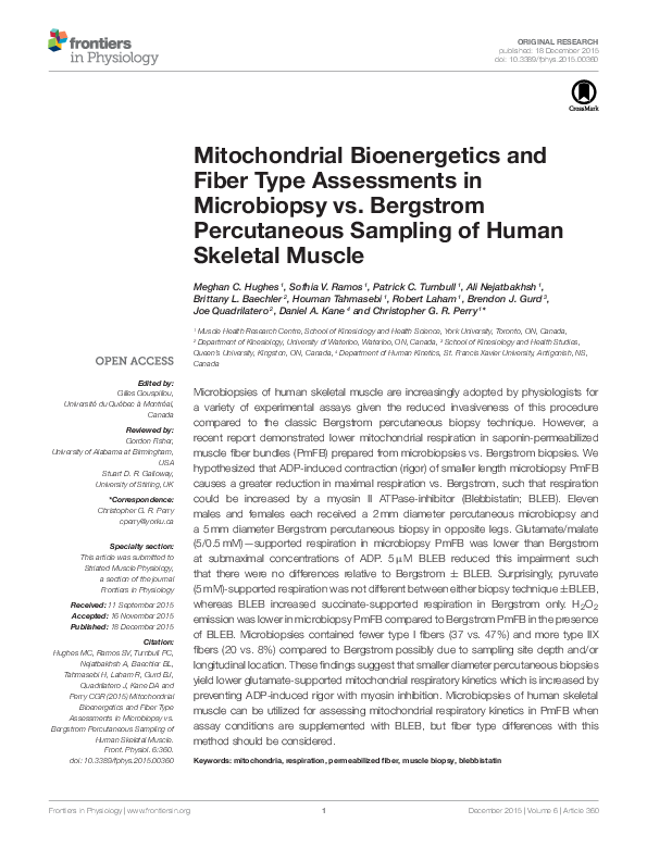 (PDF) Mitochondrial Bioenergetics and Fiber Type Assessments in ...