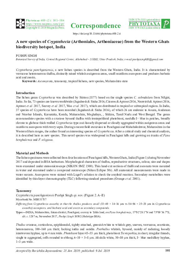 (PDF) A new species of Cryptothecia (Arthoniales, Arthoniaceae) from ...