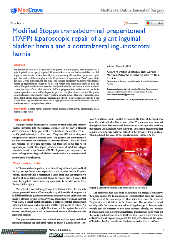 (PDF) Modified Stoppa transabdominal preperitoneal (TAPP) laparoscopic ...