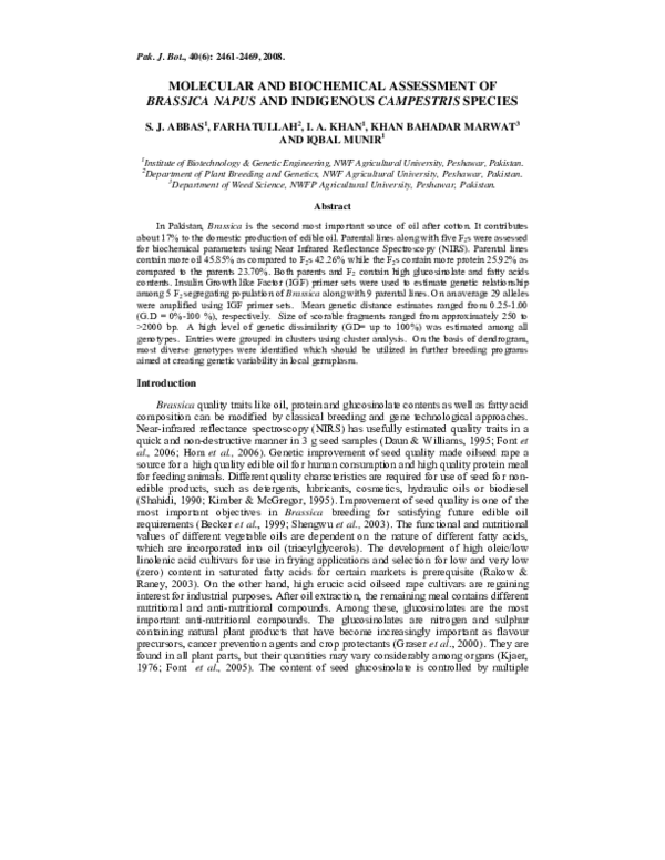(PDF) Molecular and Biochemical Assessment of Brassica Napus and Indigenous Campestris Species