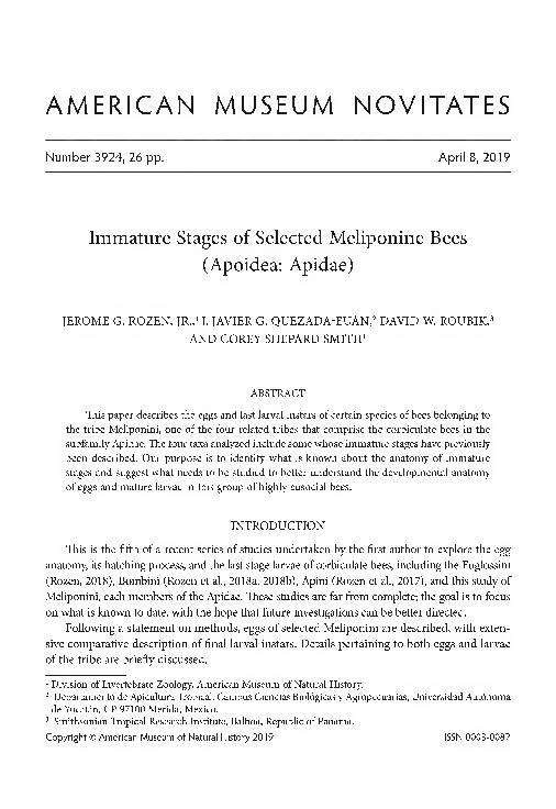 (PDF) Immature Stages of Selected Meliponine Bees (Apoidea: Apidae)