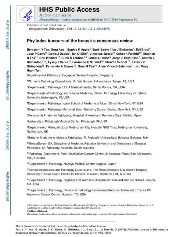 (PDF) Phyllodes tumours of the breast: a consensus review