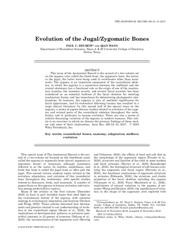 (PDF) Evolution of the Jugal/Zygomatic Bones