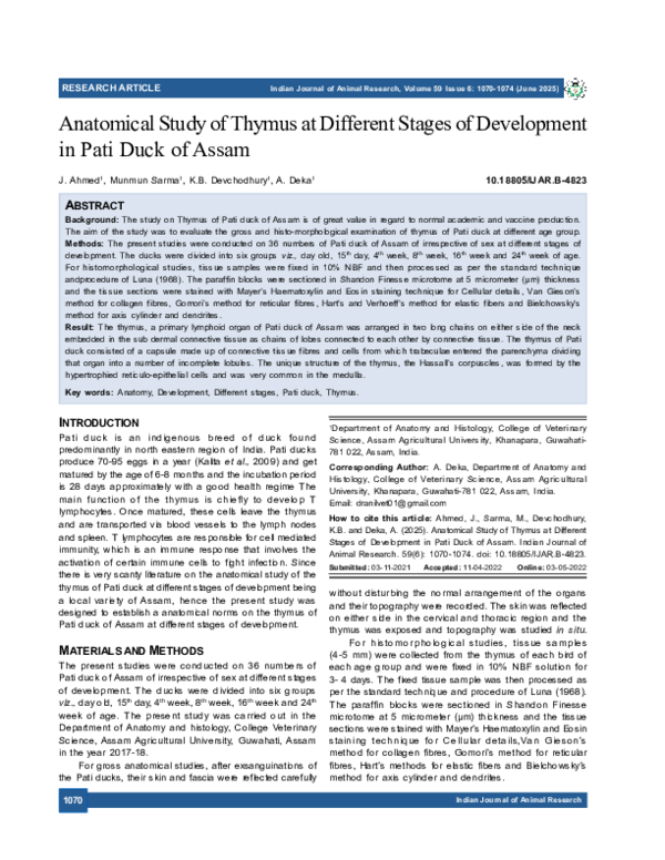 (PDF) Anatomical Study of Thymus at Different Stages of Development in ...