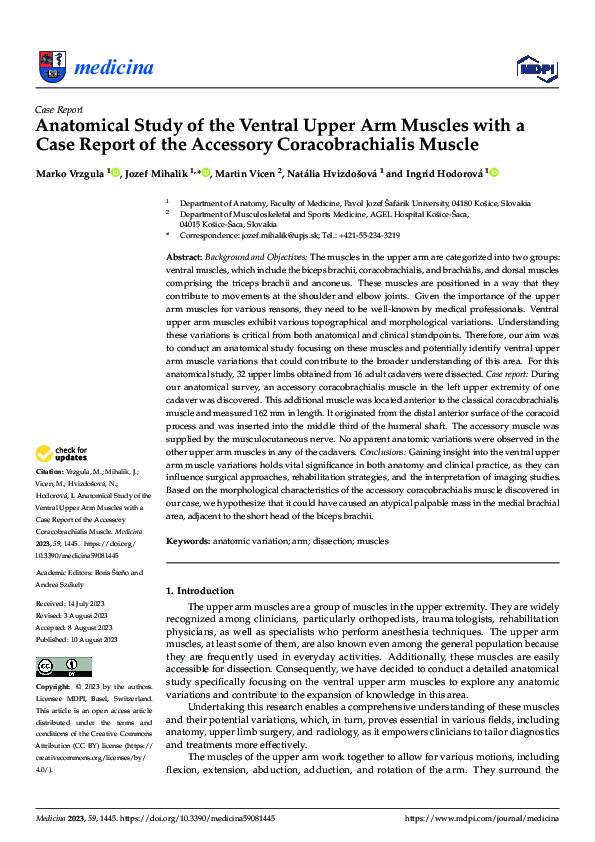 (PDF) Anatomical Study of the Ventral Upper Arm Muscles with a Case ...