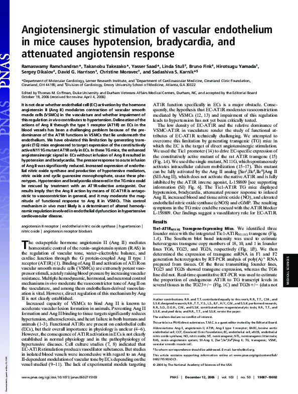 (PDF) Angiotensinergic stimulation of vascular endothelium in mice ...