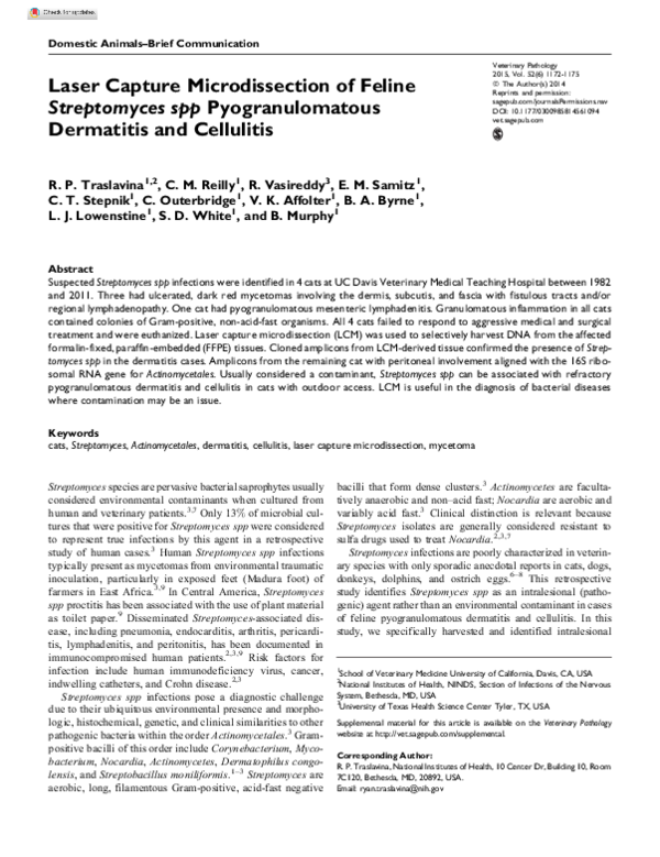(PDF) Laser Capture Microdissection of Feline Streptomyces spp ...