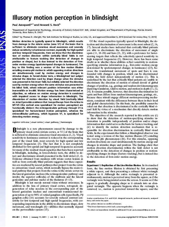 (PDF) Illusory motion perception in blindsight