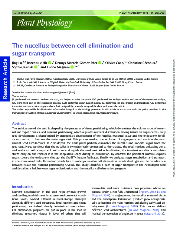 (PDF) The nucellus: between cell elimination and sugar transport