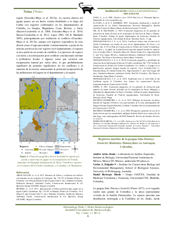(PDF) Registros notables de la guagua loba Dinomys branickii (Rodentia ...