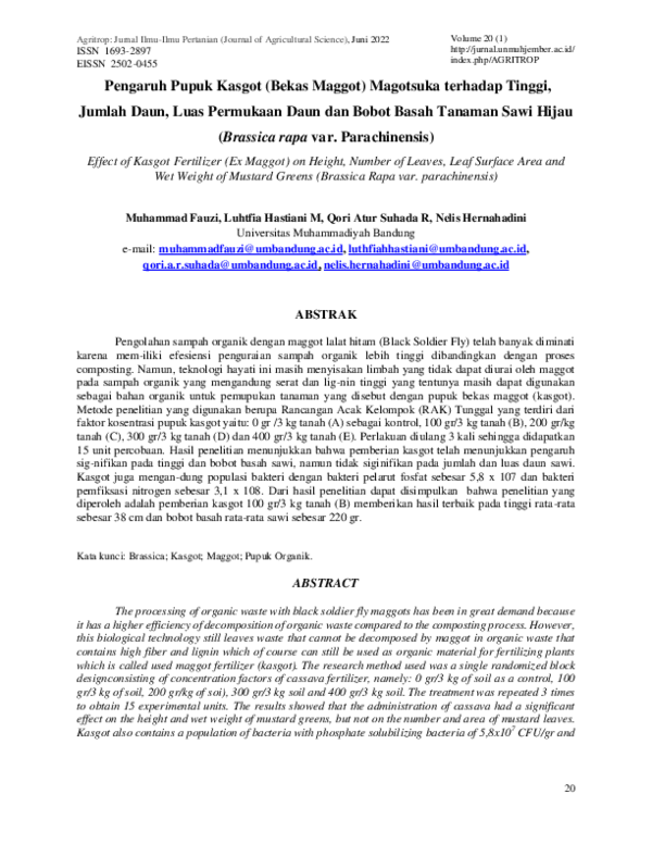 (PDF) Pengaruh Pupuk Kasgot (Bekas Maggot) Magotsuka terhadap Tinggi ...