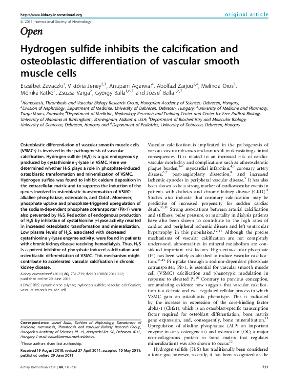 (PDF) Hydrogen sulfide inhibits the calcification and osteoblastic differentiation of vascular ...