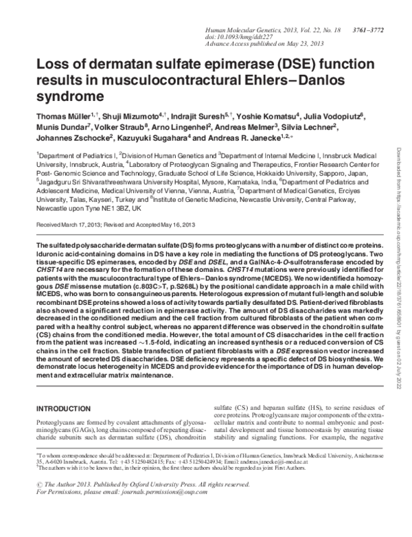 (PDF) Loss of dermatan sulfate epimerase (DSE) function results in ...