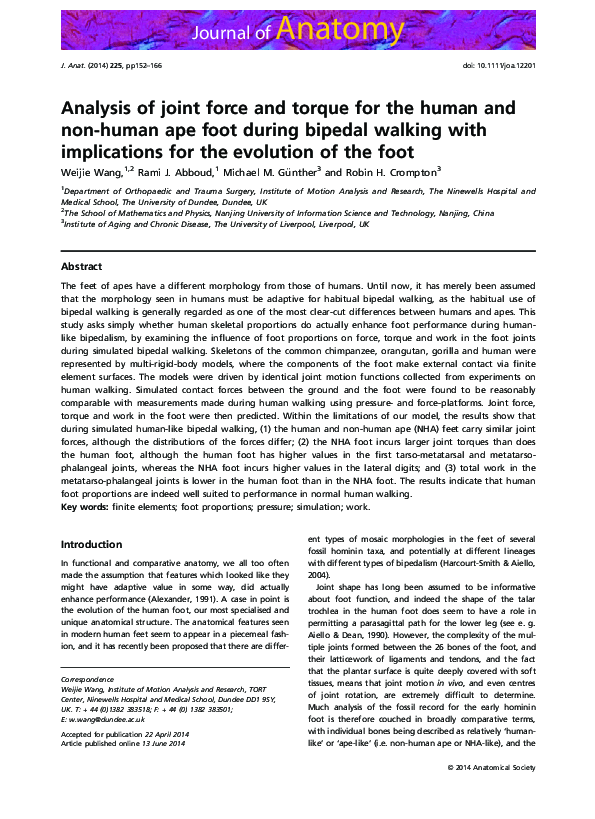 (PDF) Analysis of joint force and torque for the human and non-human ...