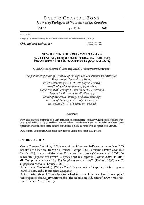 (PDF) New record of Trechus rivularis (Gyllenhal, 1810) (Coleoptera ...