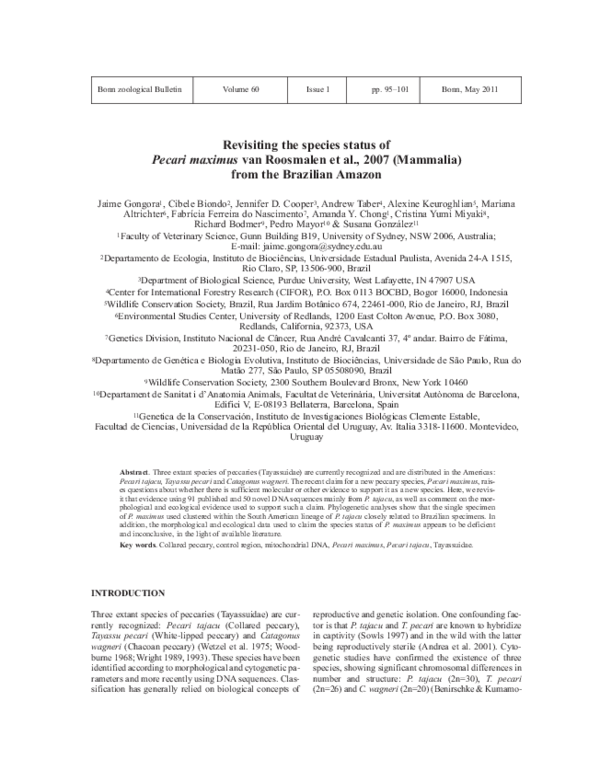 (PDF) Revisiting the species status of Pecari maximus van Roosmalen et ...