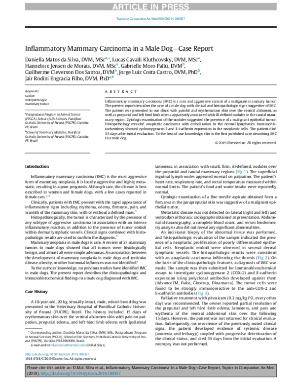 (PDF) Inflammatory Mammary Carcinoma in a Male Dog—Case Report