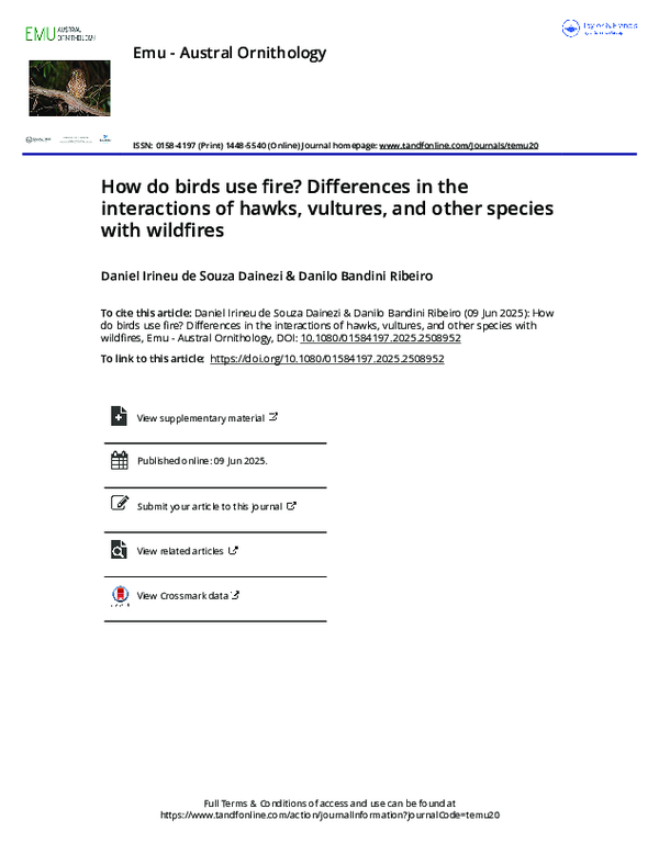 (PDF) How do birds use fire? Differences in the interactions of hawks ...