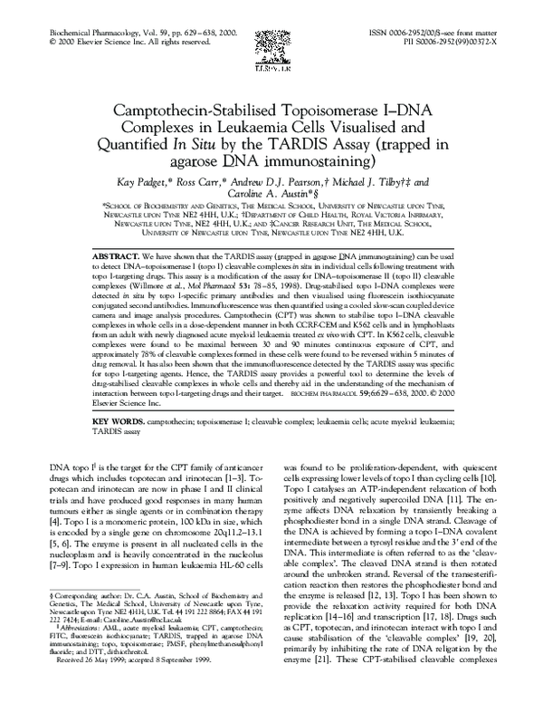 (PDF) Camptothecin-stabilised topoisomerase I–DNA complexes in ...