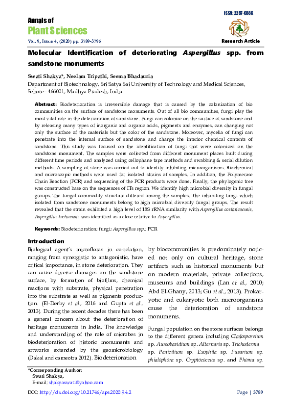 (PDF) Molecular Identification of deteriorating Aspergillus spp. from sandstone monuments