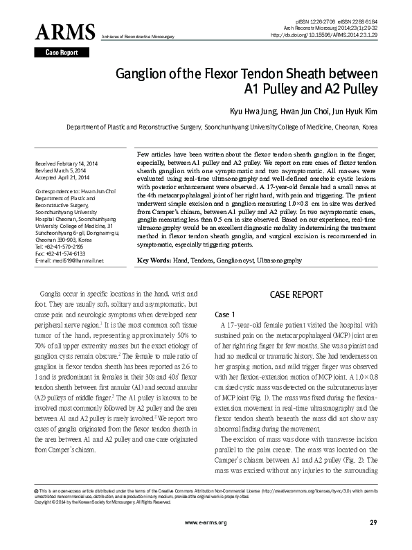 (PDF) Ganglion of the Flexor Tendon Sheath between A1 Pulley and A2 Pulley