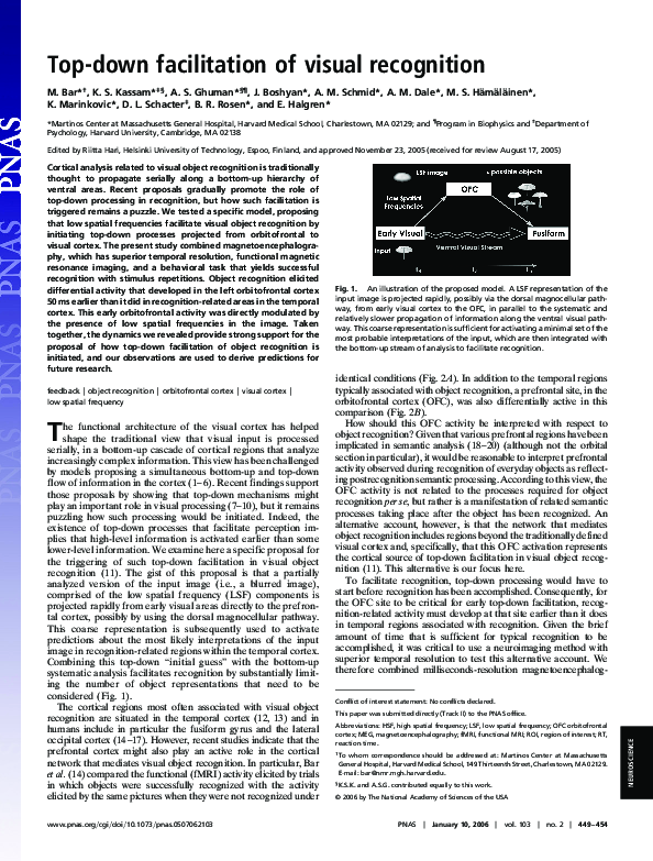 (PDF) Top-down facilitation of visual recognition