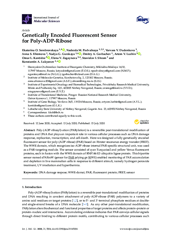 (PDF) Genetically Encoded Fluorescent Sensor for Poly-ADP-Ribose