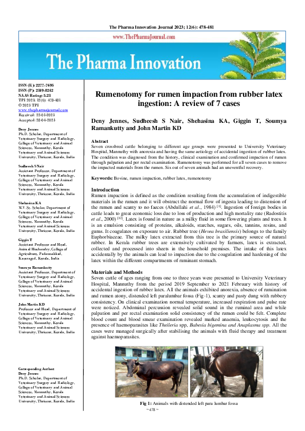 (PDF) Rumenotomy for rumen impaction from rubber latex ingestion: A ...