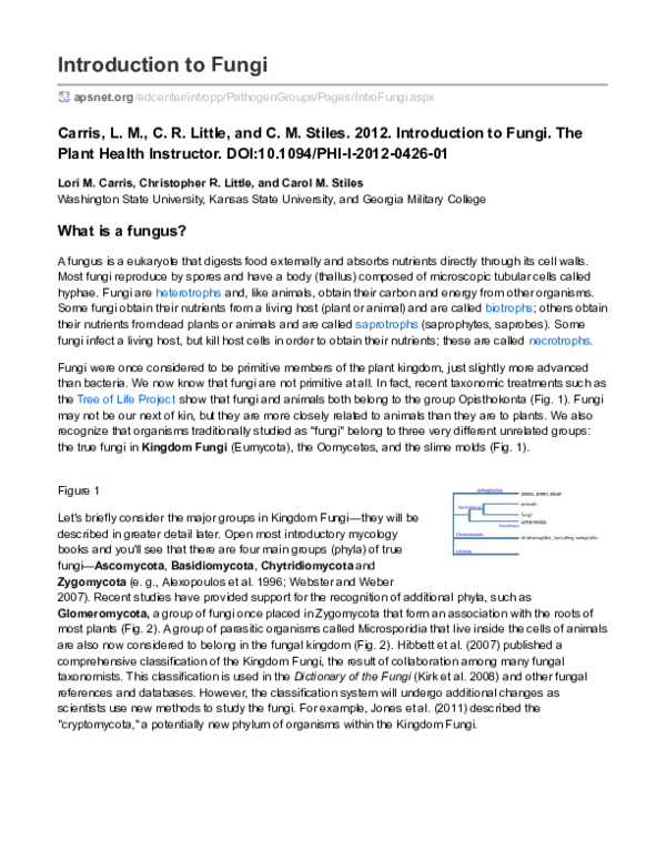 (PDF) Introduction to Fungi